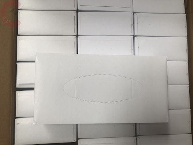 Facial Tissue 100 sheet 2 ply 1 carton x 42 boxes