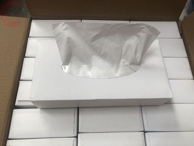 Facial Tissue 100 sheet 2 ply 1 pack x 10 boxes