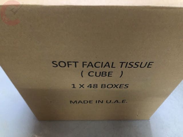 Facial Tissue Cubic Box 100 sheets x 2 ply Carton of 48 boxes
